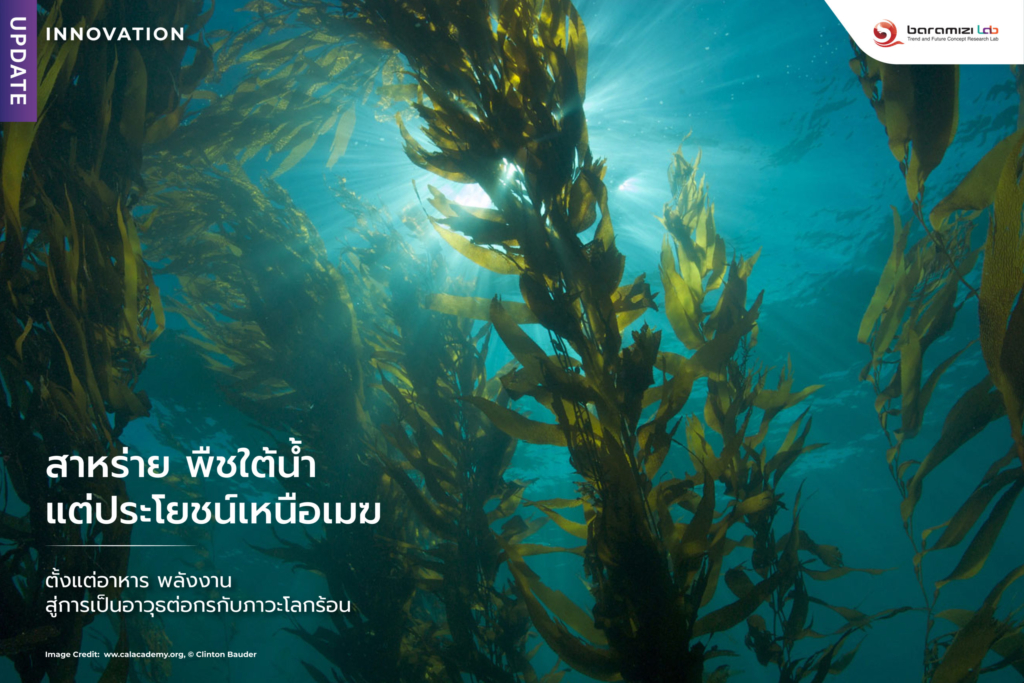 INNOVATION UPDATE : สาหร่าย พืชใต้น้ำแต่ประโยชน์เหนือเมฆตั้งแต่อาหาร พลังงาน สู่การเป็นอาวุธ ...